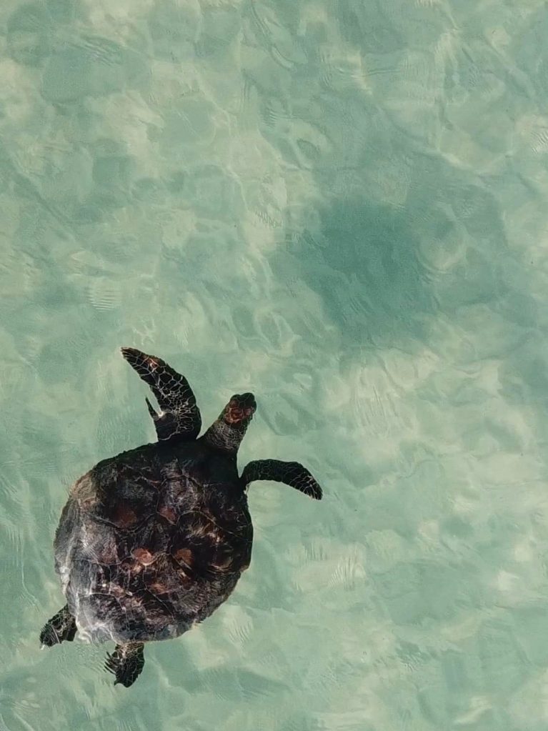 A guide to K’gari (Fraser Island) – ONLY HAPPY WHEN I TRAVEL